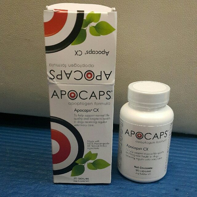 包順豐自取 長期現貨 美國Apocaps CX 癌破錠 - 癌症腫瘤輔助食品 狗 犬 90粒 dog canine cancer, 寵物用品 ...