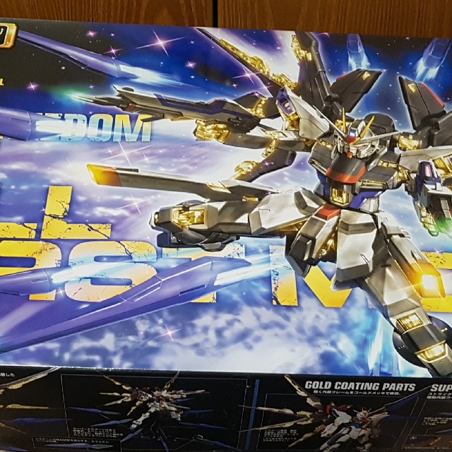 MG Strike Freedom Gundam Full Burst Mode, Hobbies & Toys, Toys & Games ...
