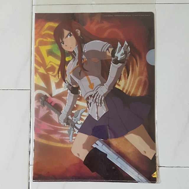 Fairytail Erza A4 L-shape file, Hobbies & Toys, Stationery & Craft ...