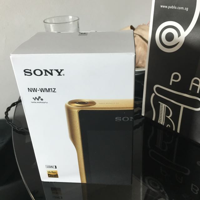 Sony NW-WM1Z Hi Res Walkman with Dignis Leather Case, Audio, Portable ...
