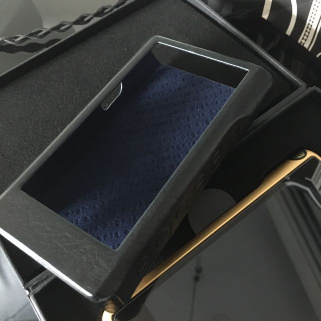 Sony NW-WM1Z Hi Res Walkman with Dignis Leather Case, Audio, Portable ...