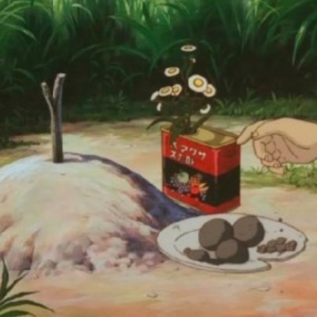 HOTARU NO HAKA Sakuma Fruits Drops Candy Tin Sealed, Hobbies & Toys ...