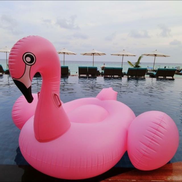 *REDUCED* Pink Flamingo Float (190cm) w/ Electric Pump, Everything Else ...