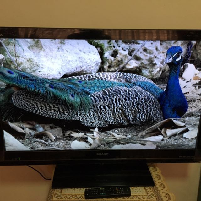 Sharp Aquos 40 inch LCD TV, TV & Home Appliances, TV & Entertainment, TV on Carousell