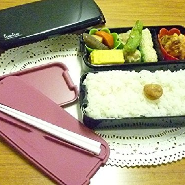 ASVEL Luntus Lunch Box SS-T640, TV & Home Appliances, Kitchen ...