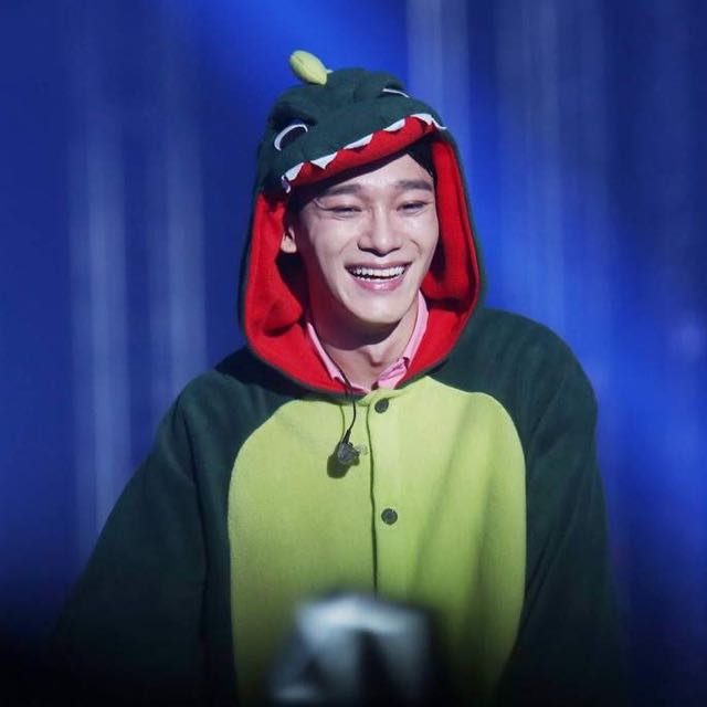 EXO CHEN INSPIRED ONESIE, Hobbies & Toys, Memorabilia & Collectibles, K ...