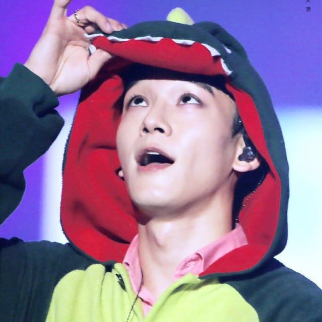 EXO CHEN INSPIRED ONESIE, Hobbies & Toys, Memorabilia & Collectibles, K ...