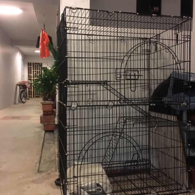 Multi storey cat-cage (reserved), Pet Supplies, Homes & Other Pet ...