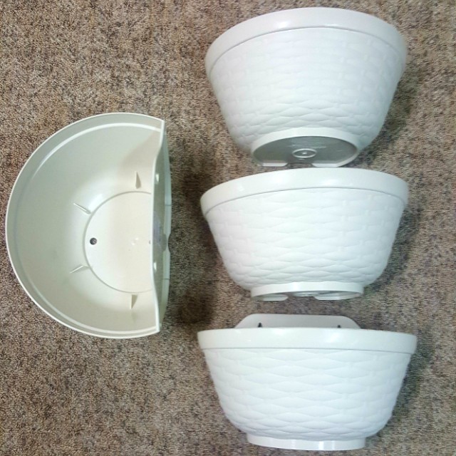 Semi flower pots from Daiso, Furniture & Home Living, Gardening, Pots ...