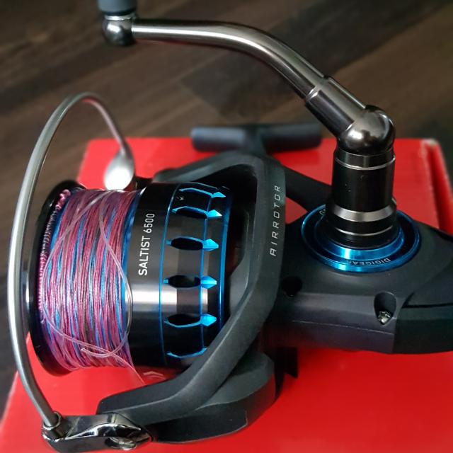 Daiwa SALTIST 6500 2017 (Spinning), Sports Equipment, Fishing on Carousell