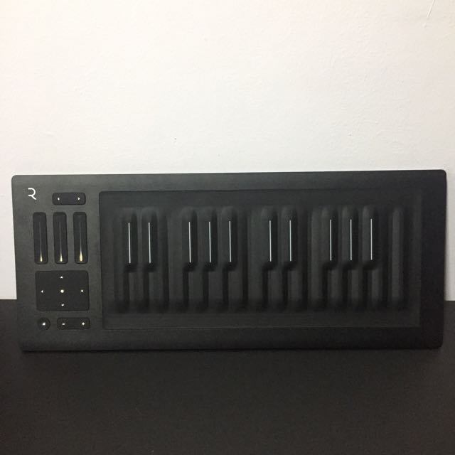 Roli Seaboard Rise 25, Hobbies & Toys, Music & Media, Musical ...