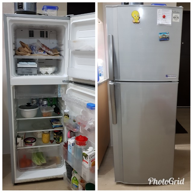 Sharp Non CFC Refrigerator, TV & Home Appliances, Kitchen Appliances ...