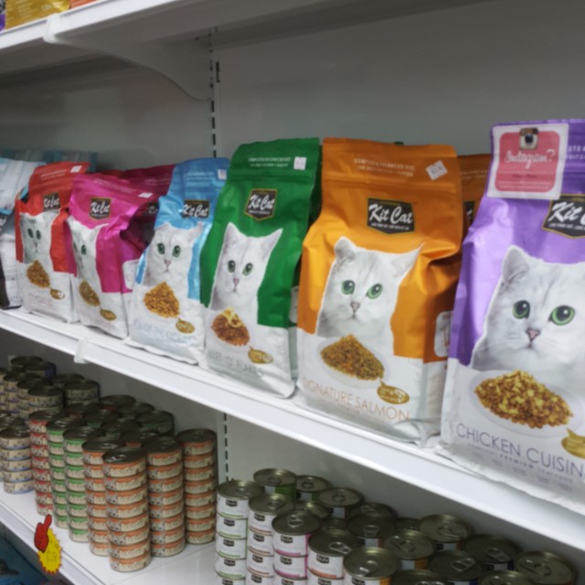 Kit Kat premium cat food, Pet Supplies, Pet Food on Carousell