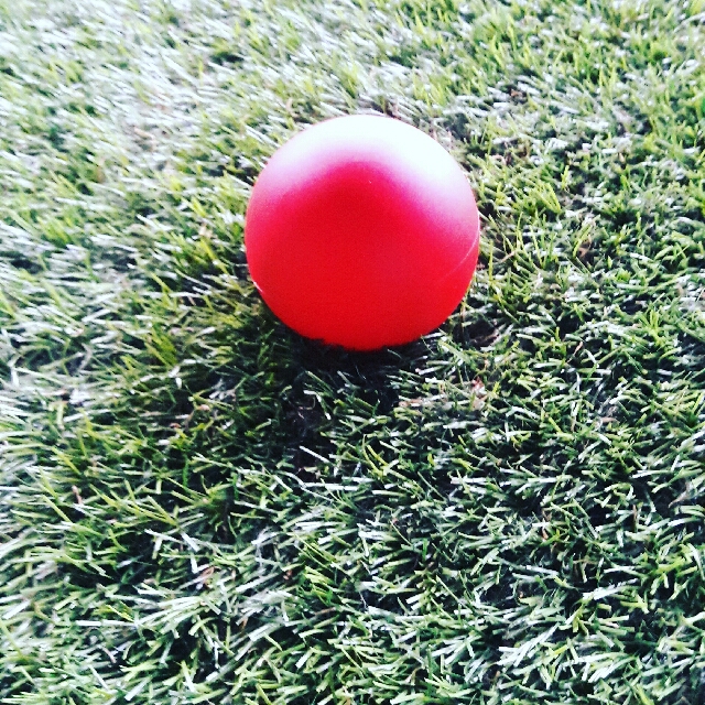 Lacrosse Ball, Sports Equipment, Sports & Games, Racket & Ball Sports ...