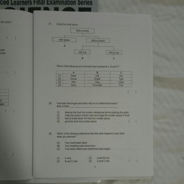 Primary 4 science practice worksheets, Hobbies & Toys, Books ...