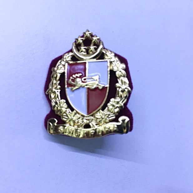 PRESIDENT AIDE DE CAMP BADGE no3 SAF SCDF SPF, Men's Fashion, Tops ...