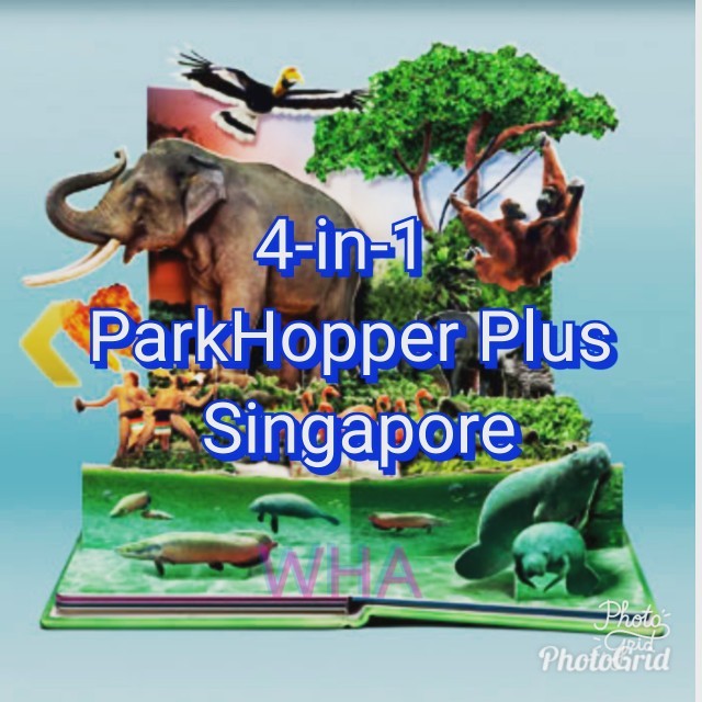 CHEAP 4-Park Hopper Plus Tickets, Tickets & Vouchers, Event Tickets on ...