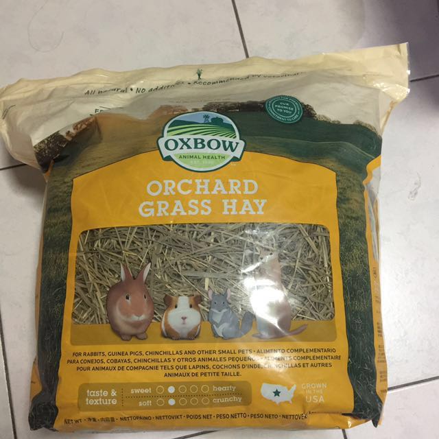 Oxbow Orchard Grass Hay (40oz), Pet Supplies, Pet Food on Carousell