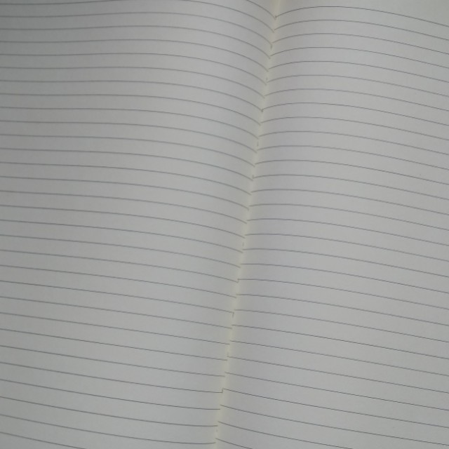 Single line book A4 size 100pgs, Hobbies & Toys, Books & Magazines ...