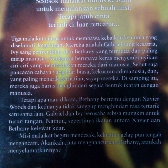 Novel 'Halo' Alexandra Adornetto, Buku & Alat Tulis, Buku di Carousell