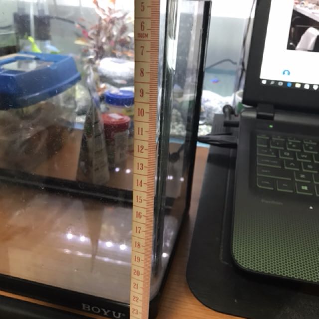 Boyu small fish tank (about 7.5 liters), Pet Supplies, Homes & Other ...