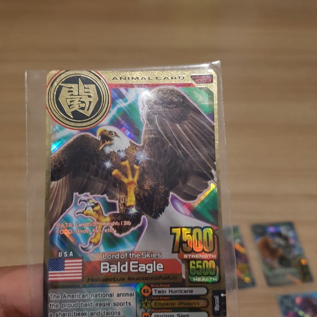 Animal Kaiser Bald Eagle Season 3, Hobbies & Toys, Toys & Games on ...