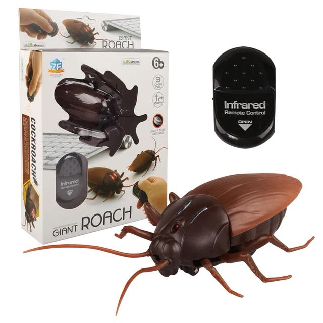 Controlled cockroach, Hobbies & Toys, Toys & Games on Carousell