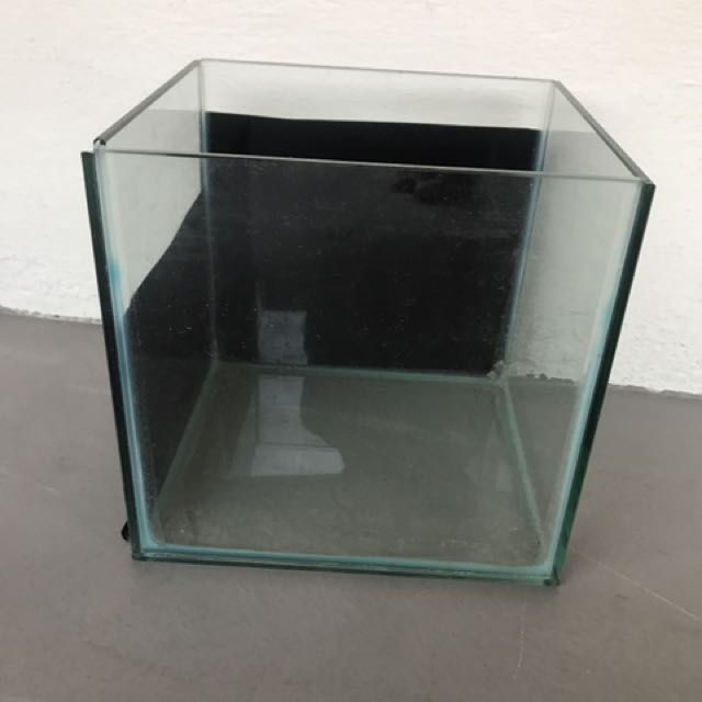 1ft by 1ft glass fish tank, Pet Supplies, Homes & Other Pet Accessories ...