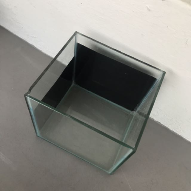 1ft by 1ft glass fish tank, Pet Supplies, Homes & Other Pet Accessories ...