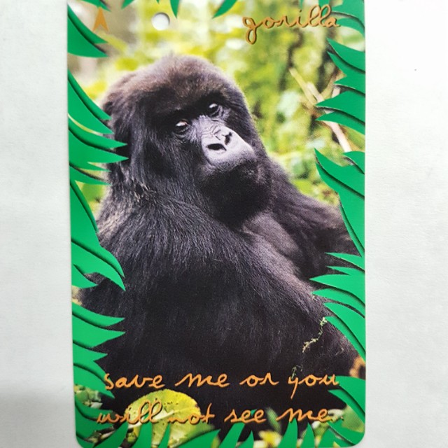 "Save me or you will not see me" Series Transitlink Cards, Hobbies ...