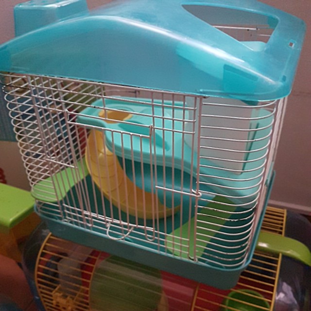 Hamster Cages, Pet Supplies, Homes & Other Pet Accessories on Carousell