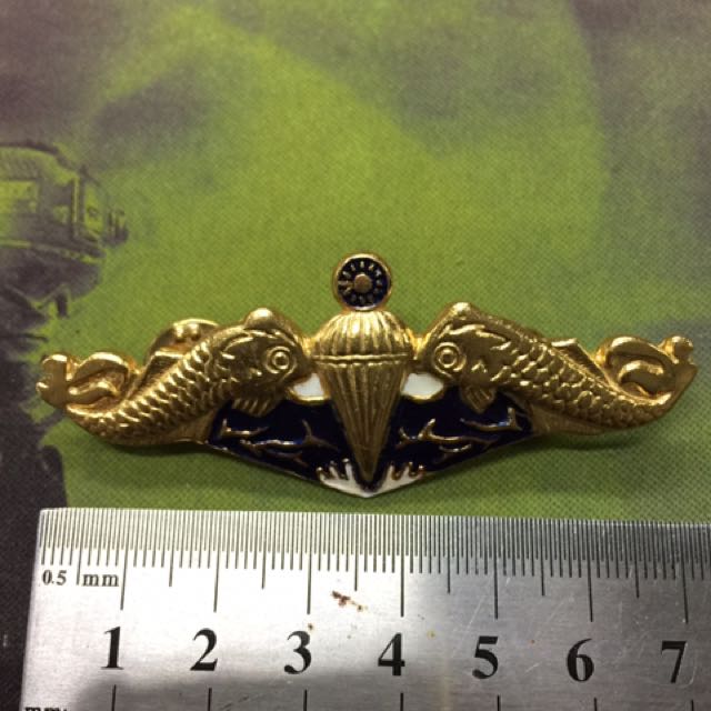 Taiwan Marine Commando UDT Badge Underwater Demolition Team, Everything ...
