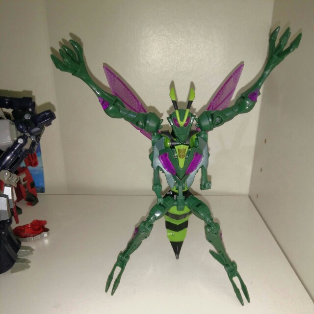 TFA Waspinator Rare, Hobbies & Toys, Toys & Games on Carousell