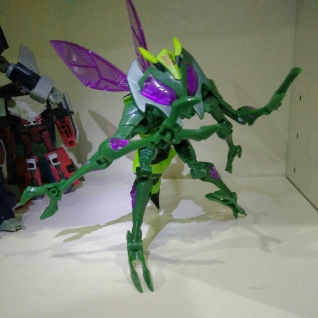 TFA Waspinator Rare, Hobbies & Toys, Toys & Games on Carousell