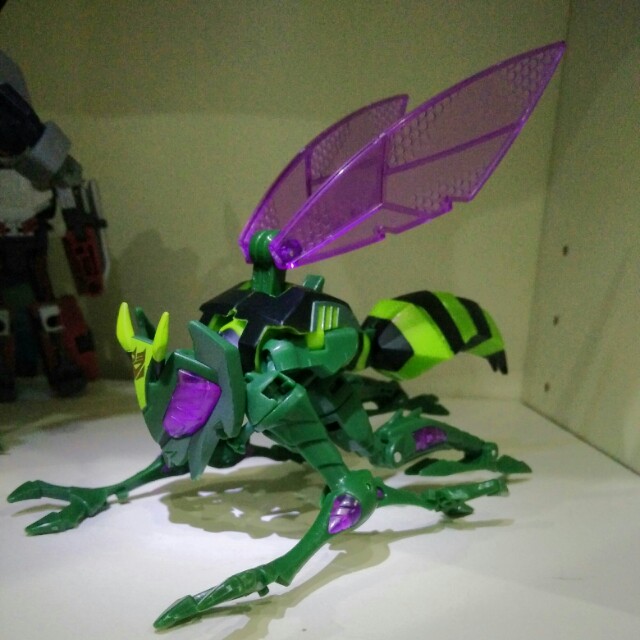 TFA Waspinator Rare, Hobbies & Toys, Toys & Games on Carousell