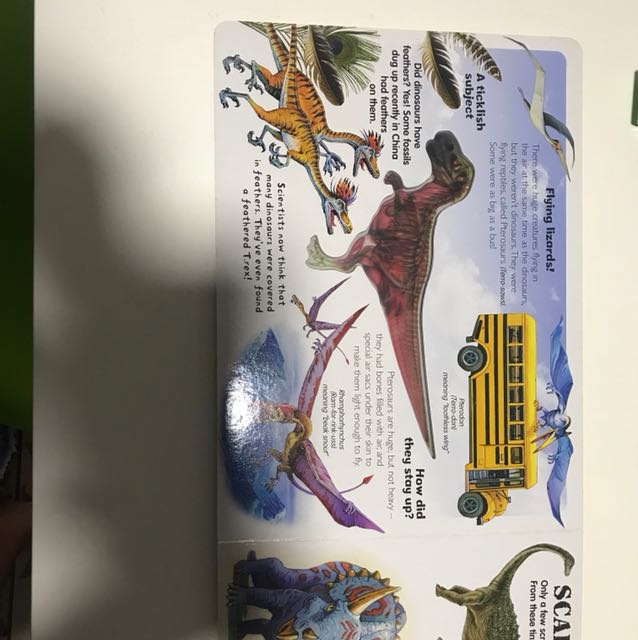 Dinosaur x Ray book, Hobbies & Toys, Books & Magazines, Children's ...