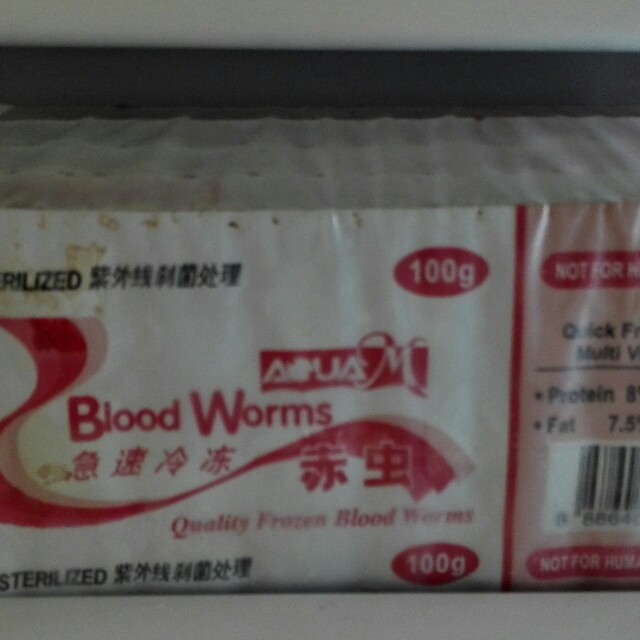 Blood worm, Pet Supplies, Pet Food on Carousell