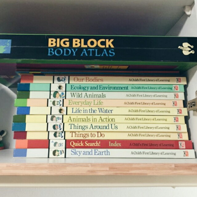 !! A Child's First Library of Learning & Big Block Body Atlas, Hobbies ...