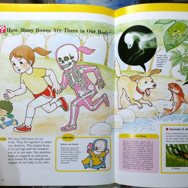 !! A Child's First Library of Learning & Big Block Body Atlas, Hobbies ...