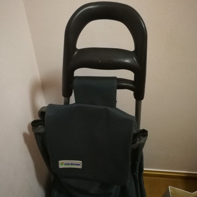 Cold storage trolley bag, Furniture & Home Living, Home Improvement ...