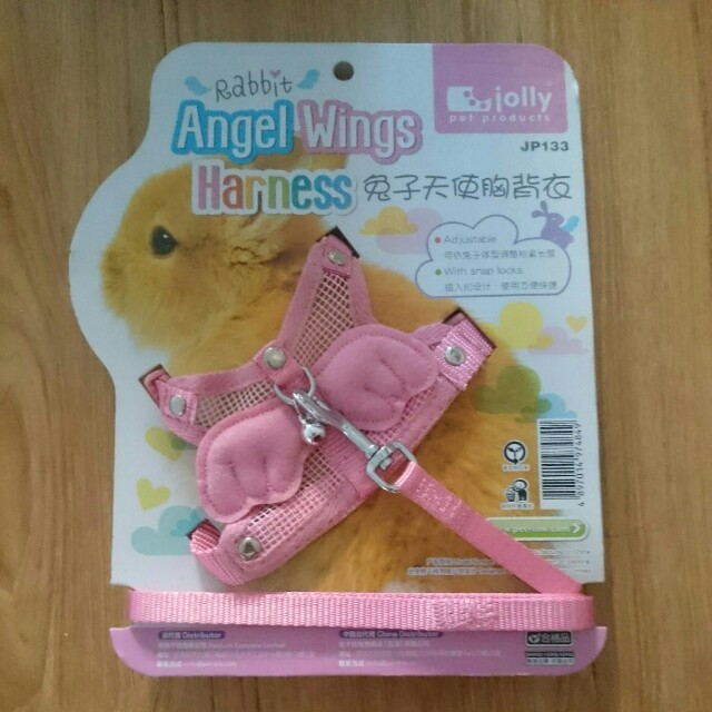 Rabbit Angel Wings Harness, Pet Supplies, Homes & Other Pet Accessories ...