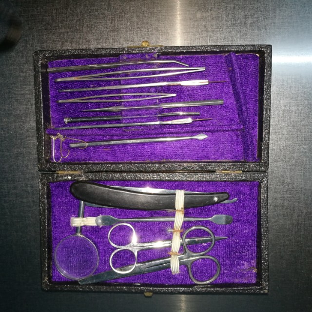 Dissection kit, Hobbies & Toys, Stationery & Craft, Craft Supplies ...