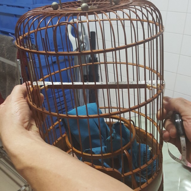 Pure bird cage, Pet Supplies, Homes & Other Pet Accessories on Carousell