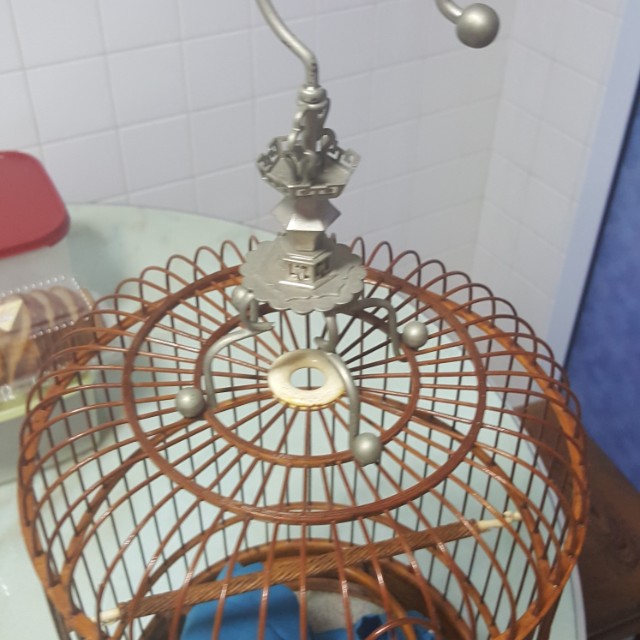 Pure bird cage, Pet Supplies, Homes & Other Pet Accessories on Carousell