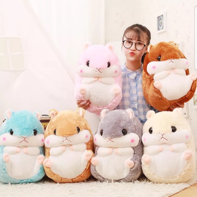 Hamster Cushion w/blanket, Bulletin Board, Preorders on Carousell