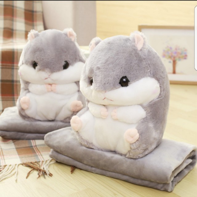 Hamster Cushion w/blanket, Bulletin Board, Preorders on Carousell