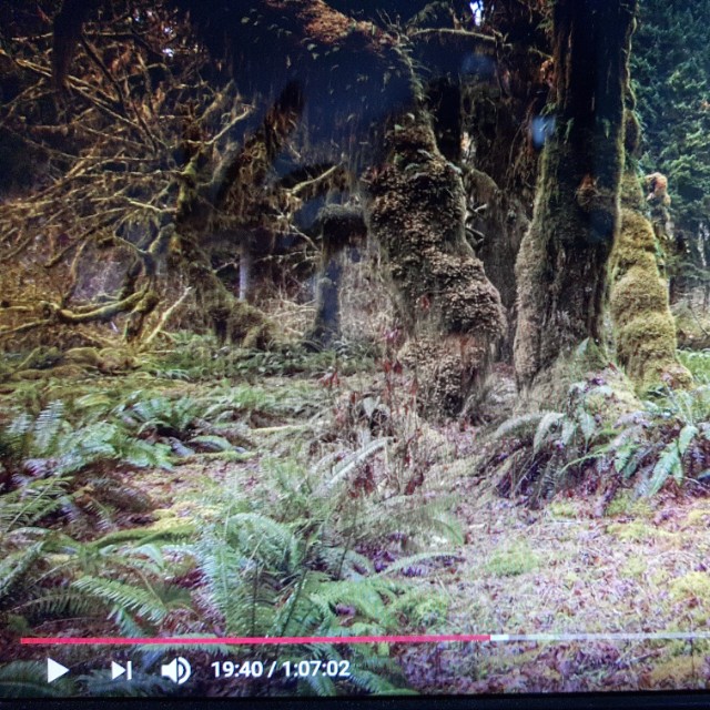 HP 20 Inch 2009f HD Monitor With Built In Speakers LCD 20" Gaming ...