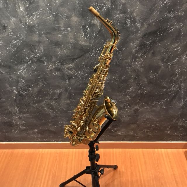 Temby Professional Alto Saxophone Gold 24k, Hobbies & Toys, Music ...