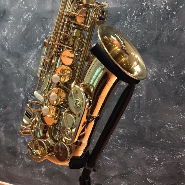 Temby Professional Alto Saxophone Gold 24k, Hobbies & Toys, Music ...