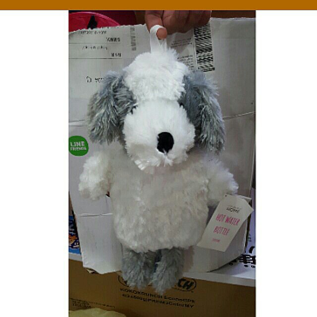 (INSTOCK) Primark Hot Water Bottle - Dog, Everything Else on Carousell